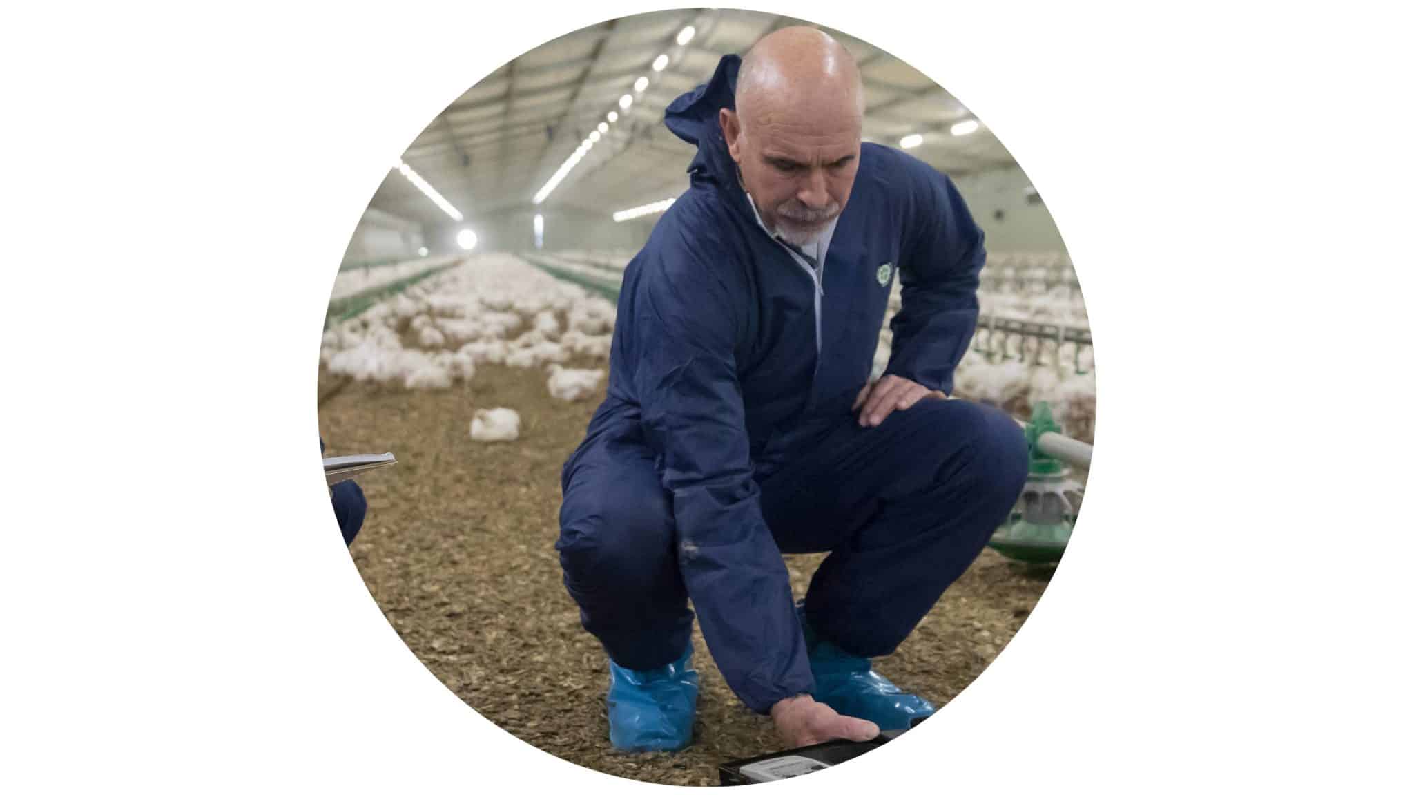 Become Certified | RSPCA Approved