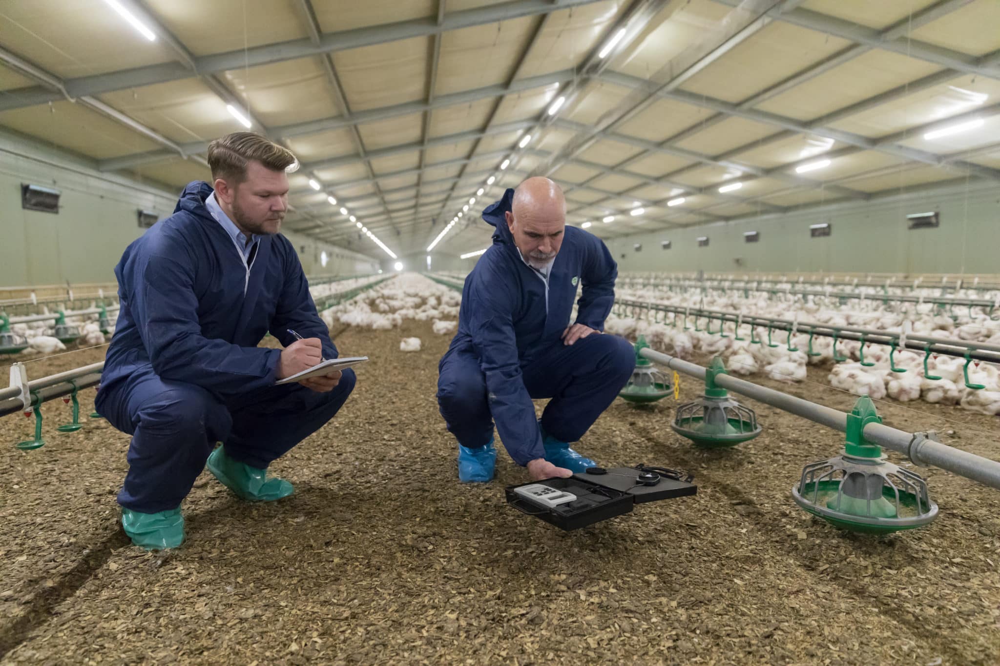 Who We Are | RSPCA Approved