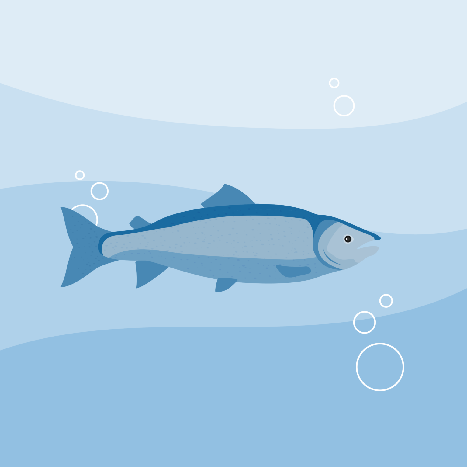 Farm Animal Welfare | RSPCA Approved