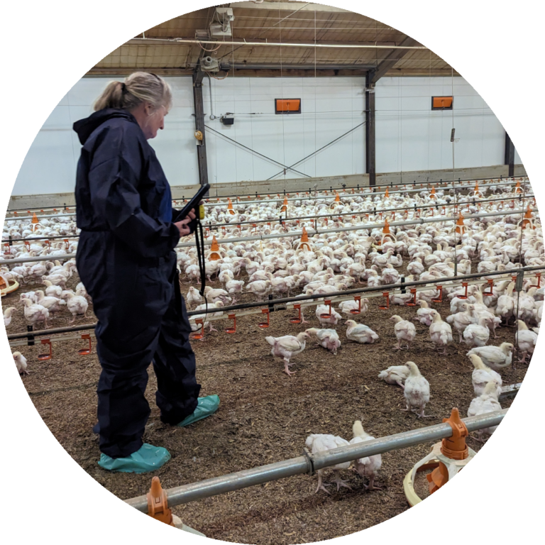 Certification Process | Become Certified | RSPCA Approved